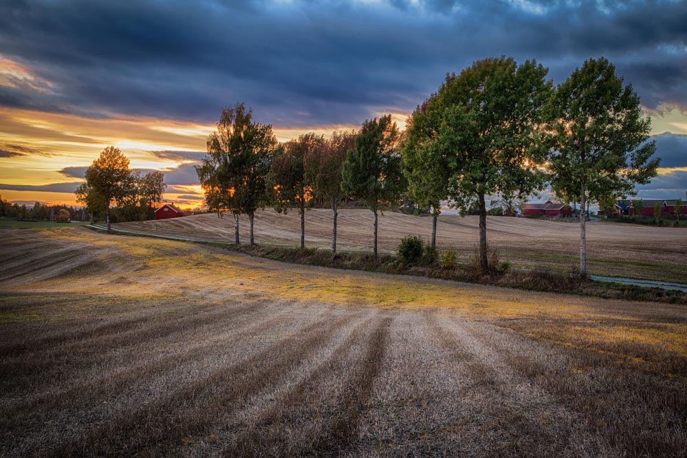 Creating landscape photos in flat farm fields
