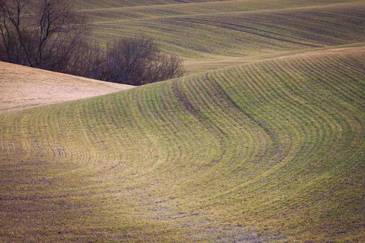 Photographing farm waves in the evening sun